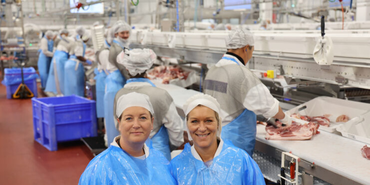 Nortura | Nyhetsartikler