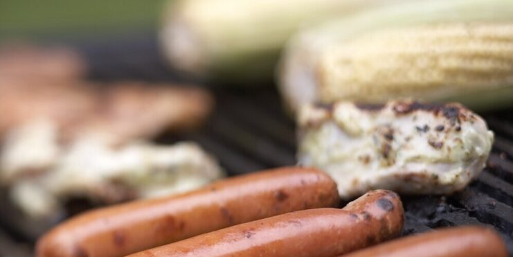 Nortura | Nyhetsartikler