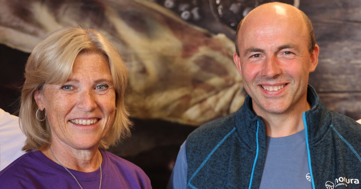 Nortura | Resultatforbedring i Nortura